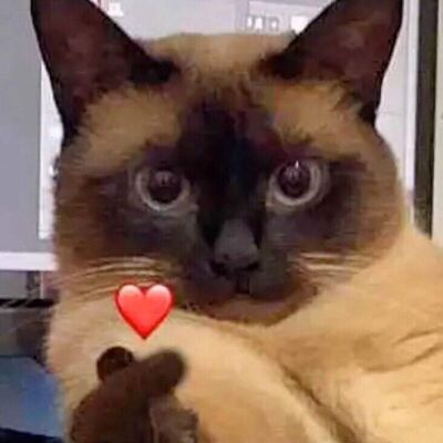 phom rak khun | blue lock x y/n: ฟิค Love Novel (แชท)