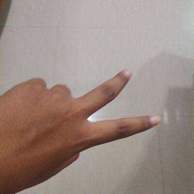 เพื่อนที่อยู่ด้วยกัน: เรื่องนี้ที่อยากเล่า/ไดอารี