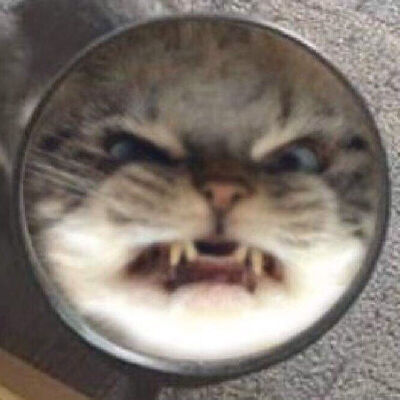 booshit | sungsunoo: ฟิค Boy Love (แชท)