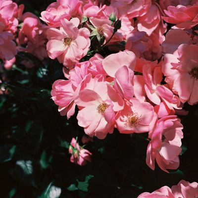 A Subtle Kiss \\ [jaedo] \\ [nct] \\: ฟิค Boy Love (บรรยาย)