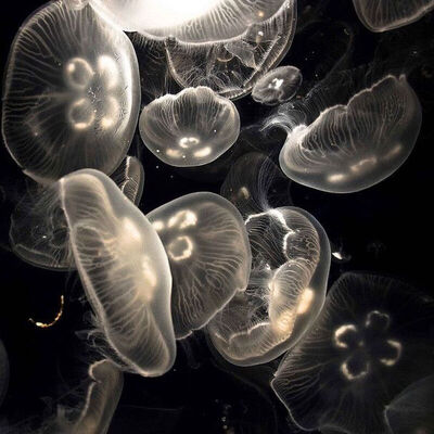 พักเถอะ(เจมโฟ้ด): ฟิค Boy Love (แชท)