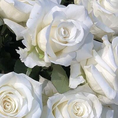 Thread of Eternity ( English ): สัพเพเหระ