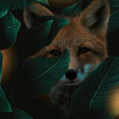 Fanfiction DC|HP T H E Little Red Fox.(oc) - 1. Nice to meet you too ...