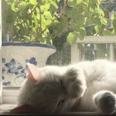 Greedy | seolbo: ฟิค Girl Love (แชท)