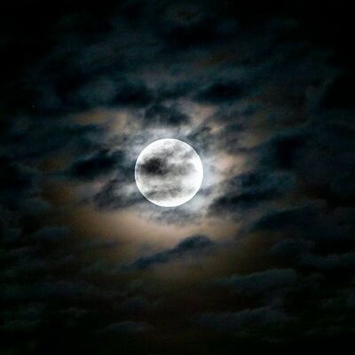 Are you my bride?【Sozi】: ฟิค Boy Love (แชท)