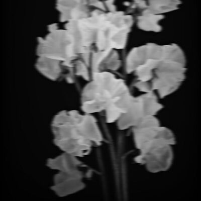 ฉันจะรอนายเสมอ|friends craft smp ss3|ยอร์ค x เก้า| - ก็ดีแล้ว^^ : ฟิค ...