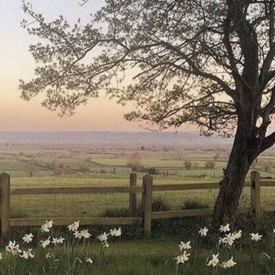 รอ: นิยาย Boy Love Lovely Room