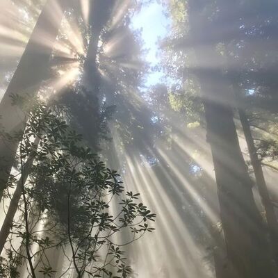 สัญญายืมเงิน : Dmhp: ฟิคฟรีสไตล์ (แชท)