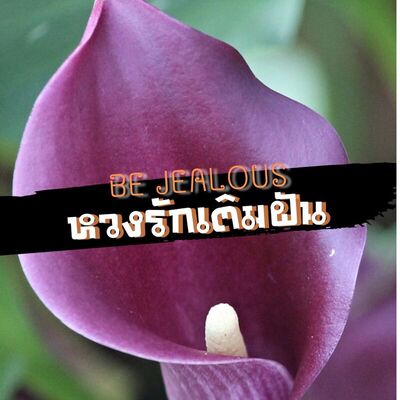 (อ่านฟรี)be jealous หวงรักเติมฝัน - Chapter 13 ความภูมิใจของพ่อ : นิยายรัก