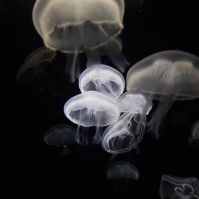 Friend?..| Friends craft ss3: ฟิค Boy Love (แชท)