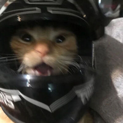 96 / rontoto: ฟิค Boy Love (แชท)