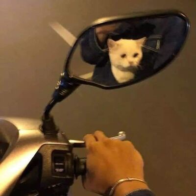 Beautiful Boy ★ | ZepNak: ฟิค Boy Love (แชท)