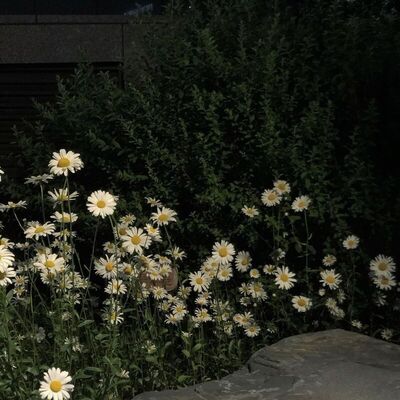 เรื่องราวแด่เธอ | eieii: ฟิคฟรีสไตล์ (แชท)