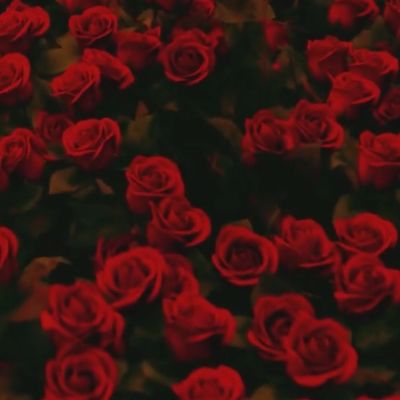 - THE PURGE -: ฟิค Boy Love (บรรยาย)