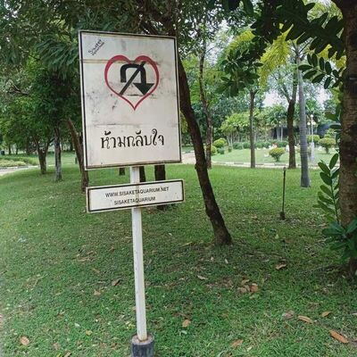 IDGAF | ชิวปิ่ง: ฟิค Boy Love (แชท)