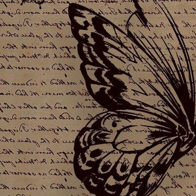 vivacious [Carpacciofinn] |mashle| - first and worst impression : ฟิค ...