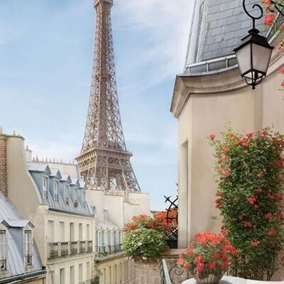 Whose cat ?? [ Norton x Ithaqua]: ฟิค Boy Love (แชท)