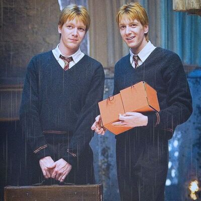 𝙱𝚊𝚋𝚢 𝚆𝚎𝚊𝚜𝚕𝚎𝚢|Weasley twins × you: ฟิค Love Novel (แชท)