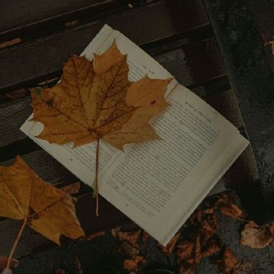 ช่วงเวลาฝนตก/allisgi(ฉบับแก้ไข): ฟิค Boy Love (แชท)