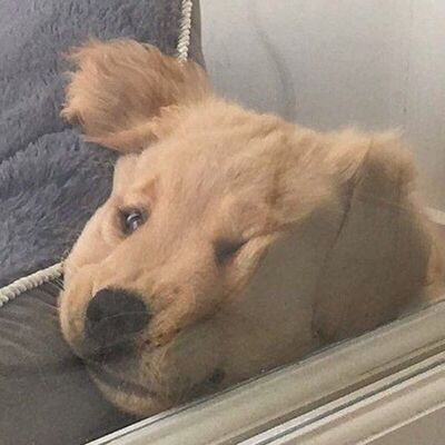 forgive me pretty ( florimatt • idv ): ฟิค Boy Love (แชท)