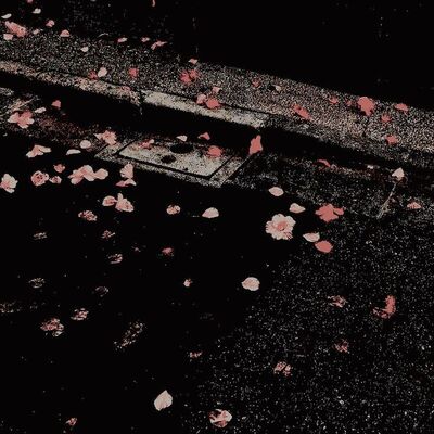 秋天不回来 -shinran: ฟิค Love Novel (แชท)