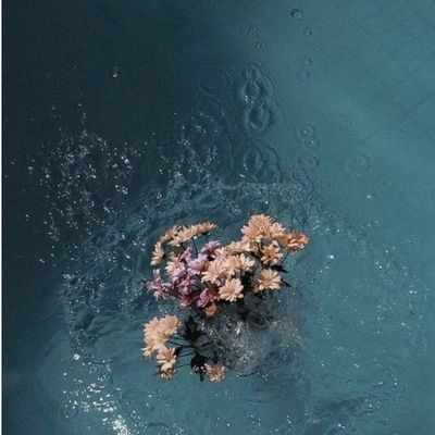 DEEP DEAD BLUE #jikook: ฟิค Boy Love (บรรยาย)