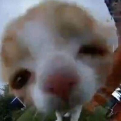 แจ้งเรื่องครับ[Aventio]: ฟิคฟรีสไตล์ (แชท)