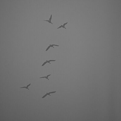 [Fic F1 , Formula 1] 0644 (Brocedes): ฟิค Boy Love (บรรยาย)