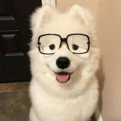 คุณชายเอาแต่ใจกับหญิงสาวแสนน่ารัก★©Boss×Noo®₱: ฟิค Love Novel (แชท)