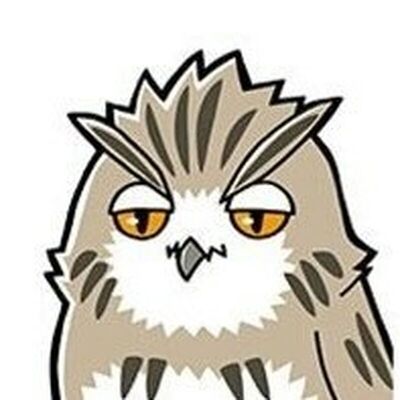 วิธีเลี้ยงนกฮูก 101 - (akaboku) haikyuu fic: ฟิค Boy Love (บรรยาย)