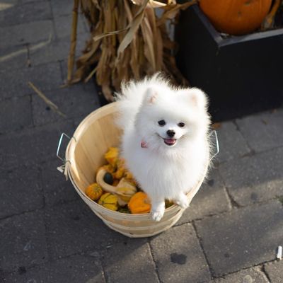 —OUR MATCHMAKER—: ฟิค Boy Love (แชท)