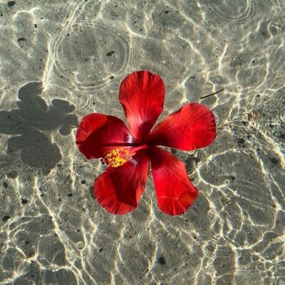 in my dream | uppoom: ฟิค Boy Love (แชท)