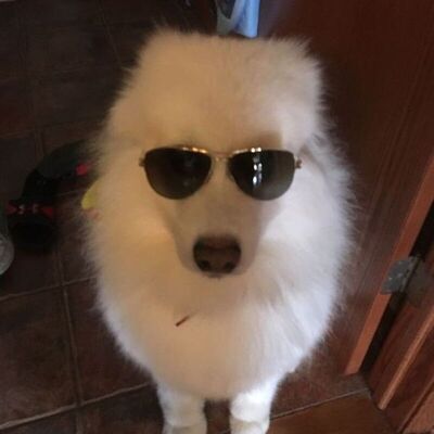 อีหมอ!! | nonao: ฟิค Love Novel (แชท)