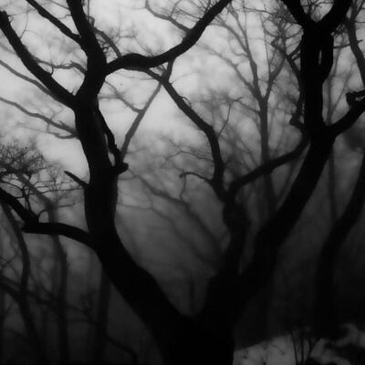 นิรันดร์ || SCORPIO - ft.ARP / Arkgin & Hyouaoi || - 03 : ฟิค Boy Love ...