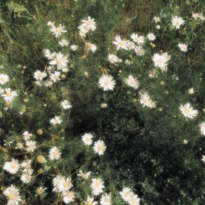 ภูผา | nonao: ฟิค Love Novel (แชท)