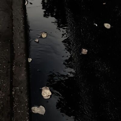 เเค่เธอ // ARP [ Quentin x Ginnique ]: นิยาย Boy Love Lovely Room (แชท)