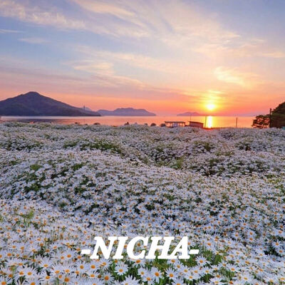 NICHA|JOMIND: ฟิค Girl Love (แชท)