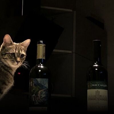 Moonlin |haneye: ฟิค Girl Love (แชท)