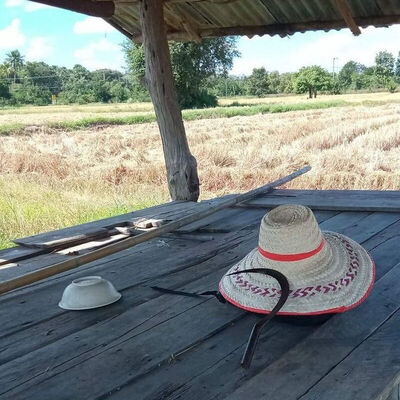 มันส่อยได้อยู่บ้อดีกรี | Agathario: ฟิค Girl Love (แชท)