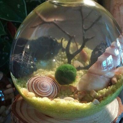 เย็นเย็น | nonao: ฟิค Love Novel (แชท)