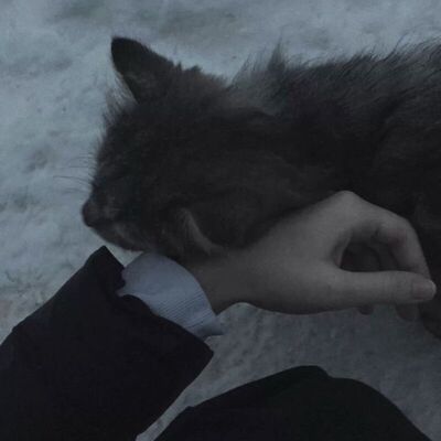 Is it or me? ,’ ZepNak: ฟิค Boy Love (แชท)