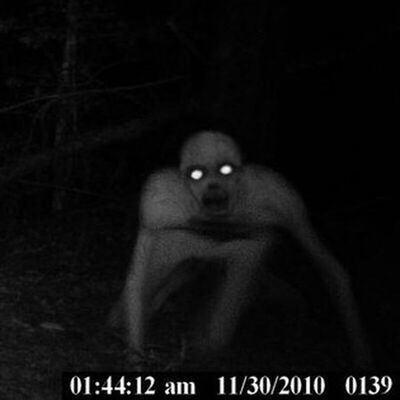 The Rake Creepypasta: สยองขวัญ