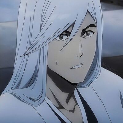 แรกพบ | Ukitake x Y/n: ฟิคฟรีสไตล์ (แชท)