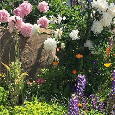 flowers | risung: ฟิค Boy Love (แชท)