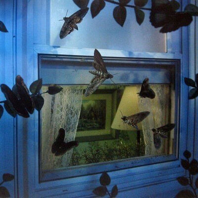 ttpd: ฟิค Boy Love (แชท)