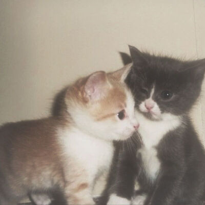 percent sign - soton: ฟิค Boy Love (แชท)