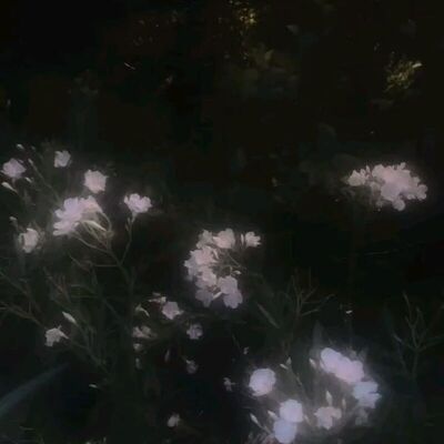 withu , zepnak: ฟิค Boy Love (แชท)