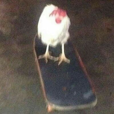 เก้าแต้ม | Xona: ฟิค Girl Love (แชท)