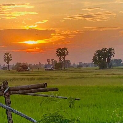 ฮักบ่าวอีสาน|Boss Noo: นิยายรัก (แชท)