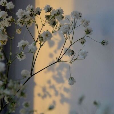 Gypzonia | JamRen: ฟิค Boy Love (แชท)